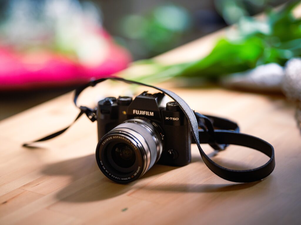 CuiCui 2024 | 「CuiCui2024」ステージ出演者を発表