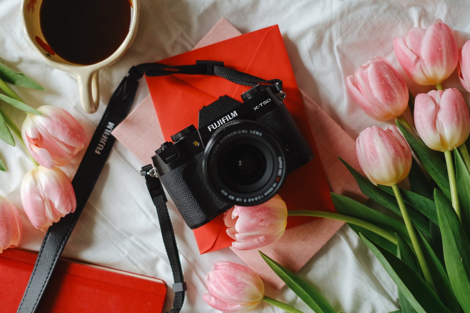 CuiCui 2024 | タッチアンドトライ